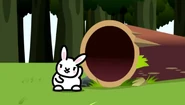 Domestic Rabbit | NatureRules1 Wiki | Fandom