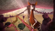 Okapi | NatureRules1 Wiki | Fandom