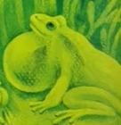 Spring Peeper | NatureRules1 Wiki | Fandom