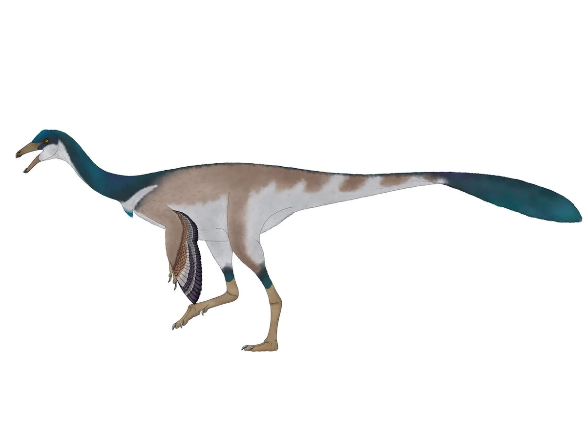 Archaeornithomimus | NatureRules1 Wiki | Fandom