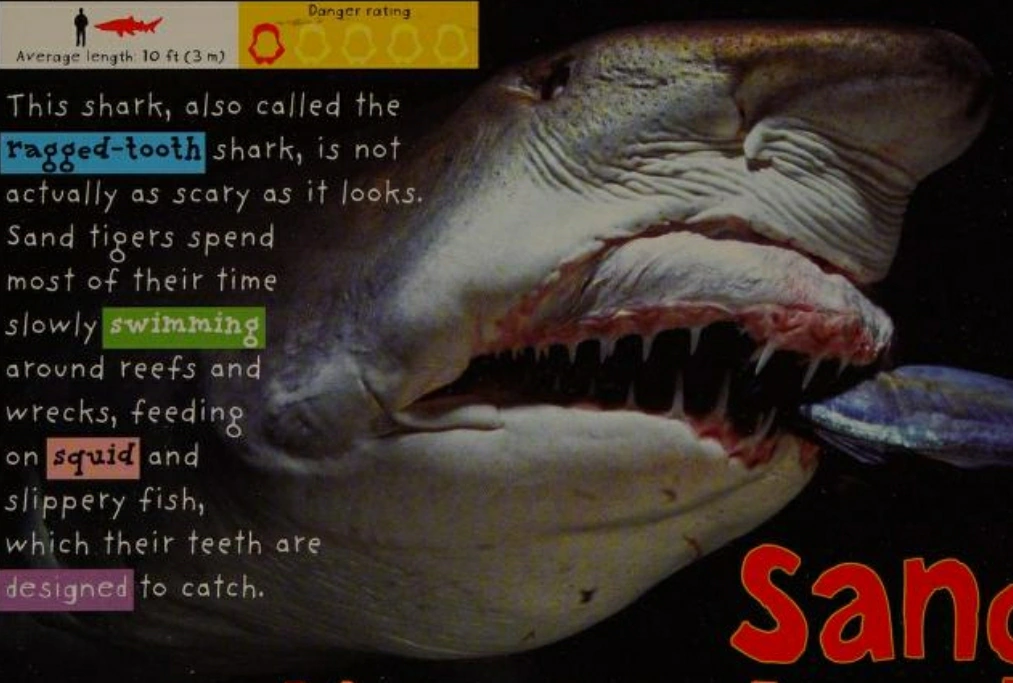 Shark Aquarium | NatureRules1 Wiki | Fandom