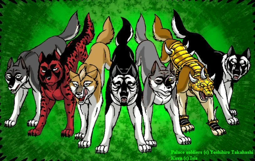 Hokkaido Wolf | NatureRules1 Wiki | Fandom