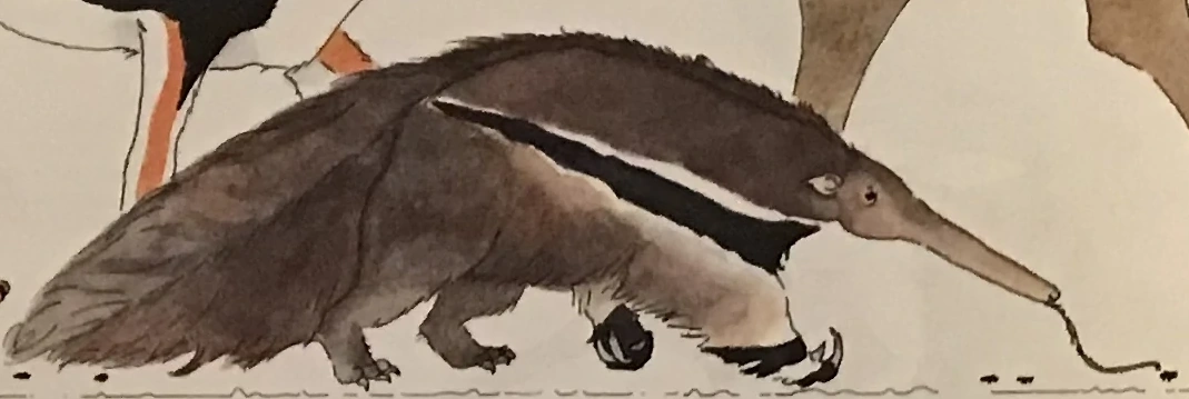 Giant Anteater/Books | NatureRules1 Wiki | Fandom