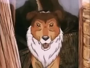 Rough Collie | NatureRules1 Wiki | Fandom