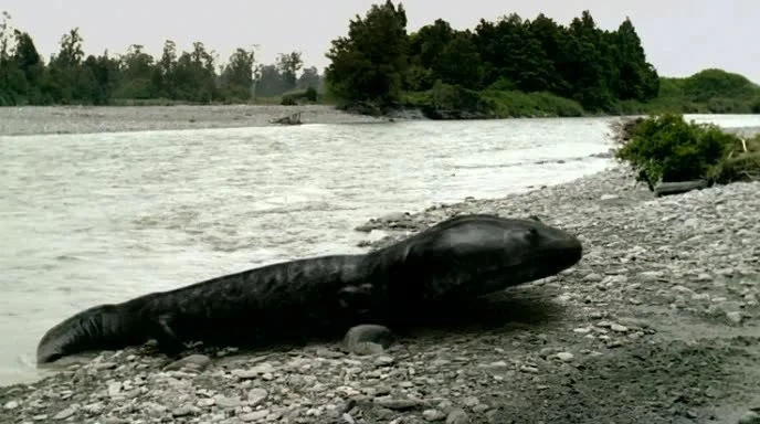 Koolasuchus | NatureRules1 Wiki | Fandom