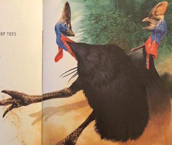 Southern Cassowary/Books | NatureRules1 Wiki | Fandom