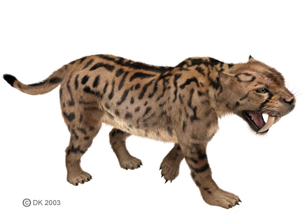 Eusmilus | NatureRules1 Wiki | Fandom