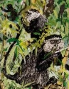 Diademed Monkey | NatureRules1 Wiki | Fandom