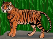 Tiger | NatureRules1 Wiki | Fandom