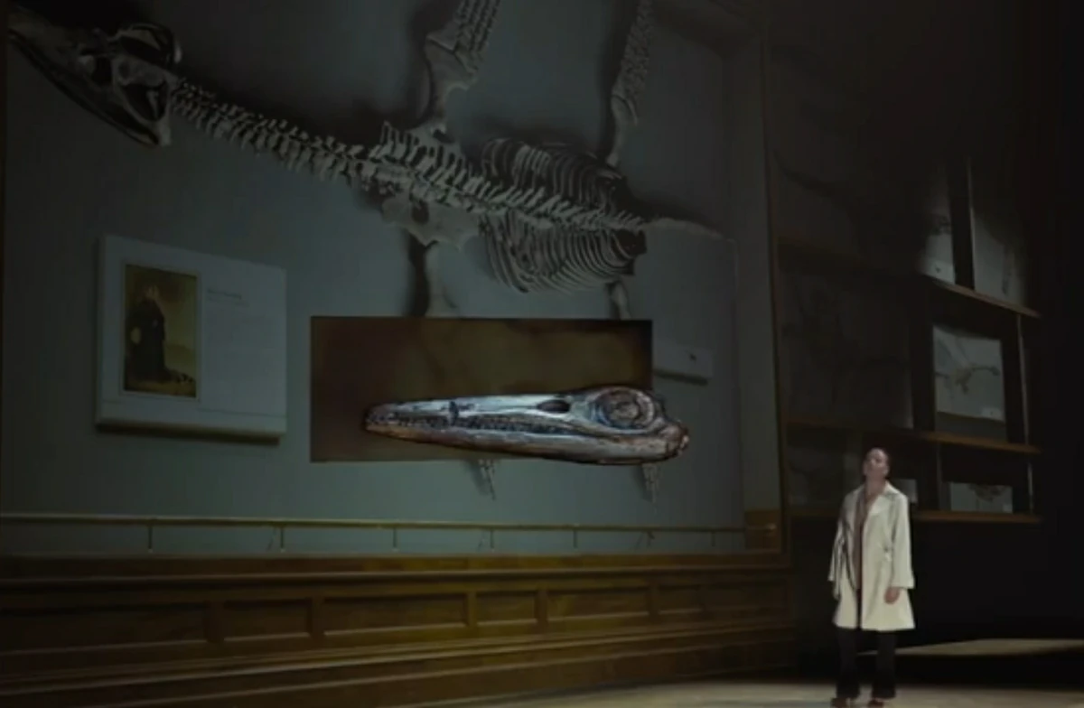 Protoichthyosaurus | NatureRules1 Wiki | Fandom