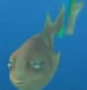 Tiger Puffer | NatureRules1 Wiki | Fandom