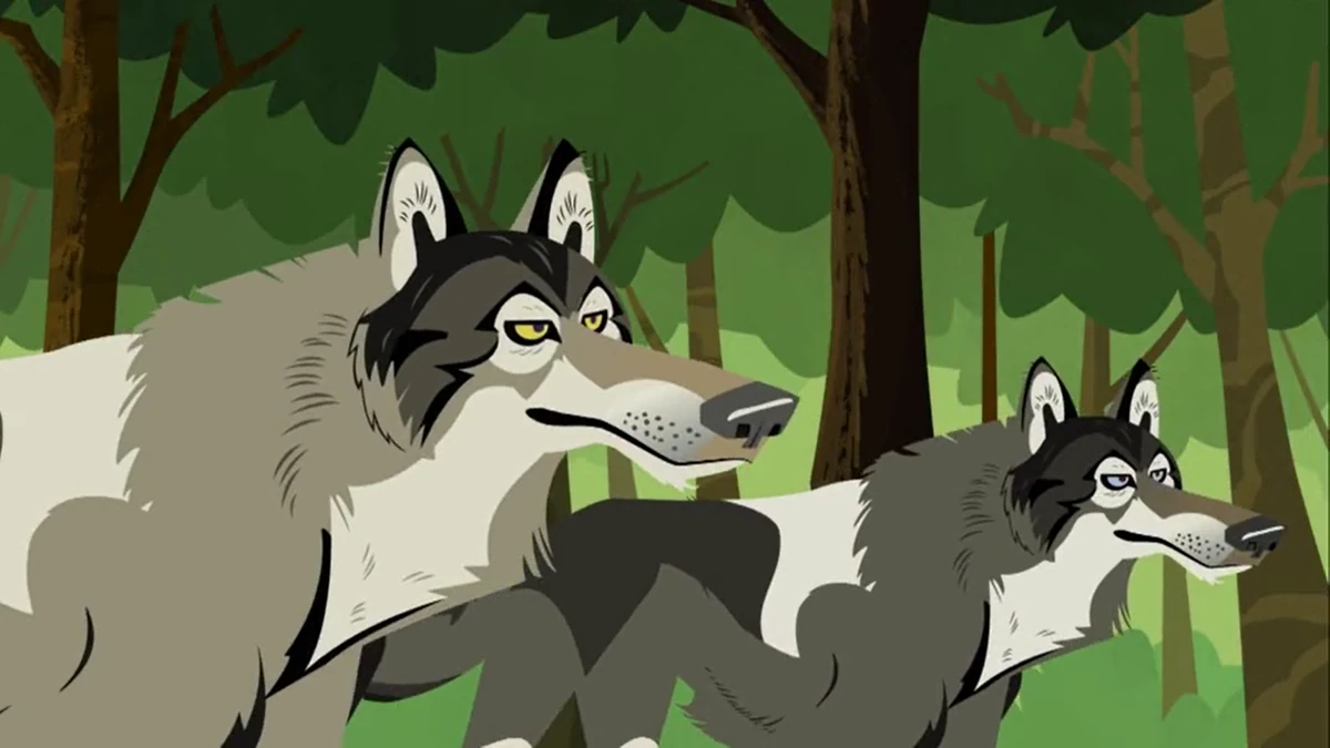 Grey Wolf/TV Shows | NatureRules1 Wiki | Fandom
