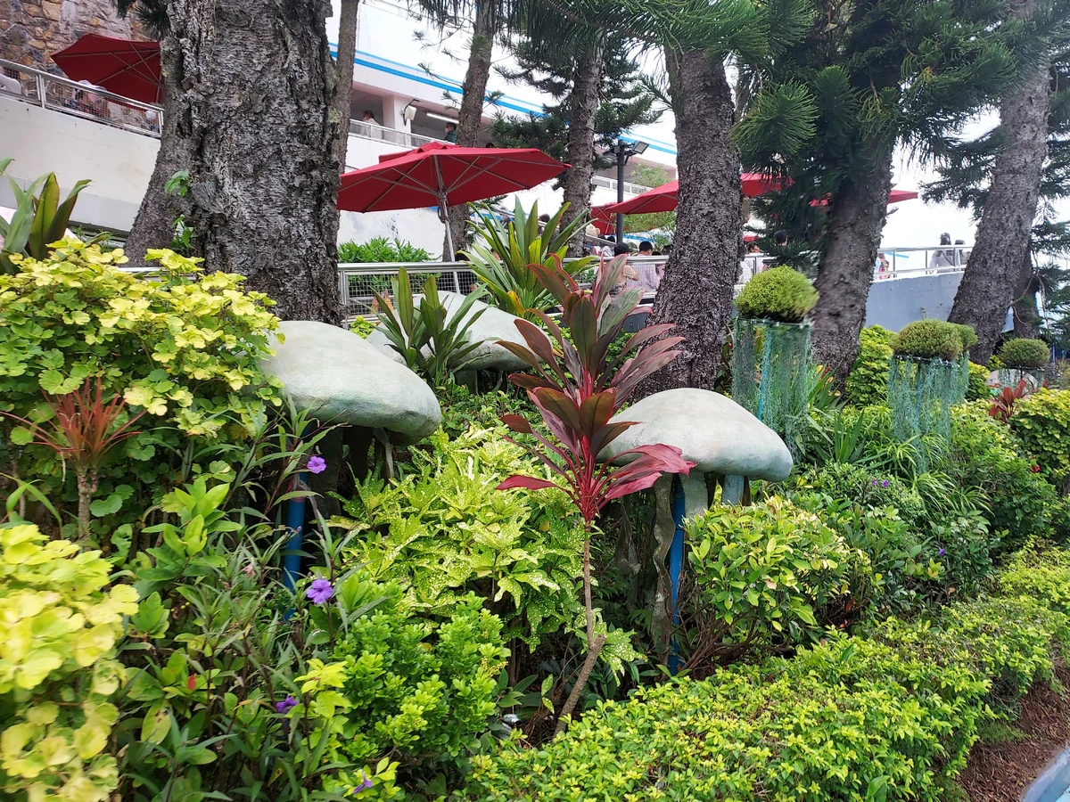 Qing Xian Flying Jellyfish | NatureRules1 Wiki | Fandom