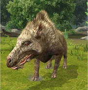 Entelodon | NatureRules1 Wiki | Fandom