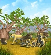 Lion | NatureRules1 Wiki | Fandom