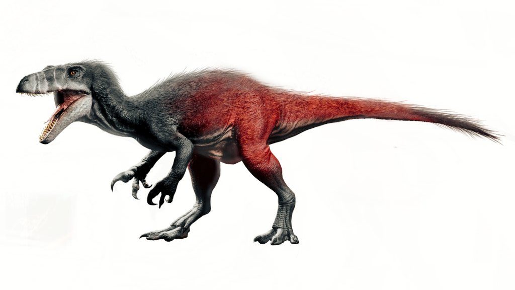 Megaraptor | NatureRules1 Wiki | Fandom