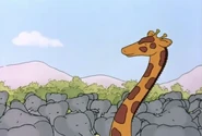 Masai Giraffe | NatureRules1 Wiki | Fandom