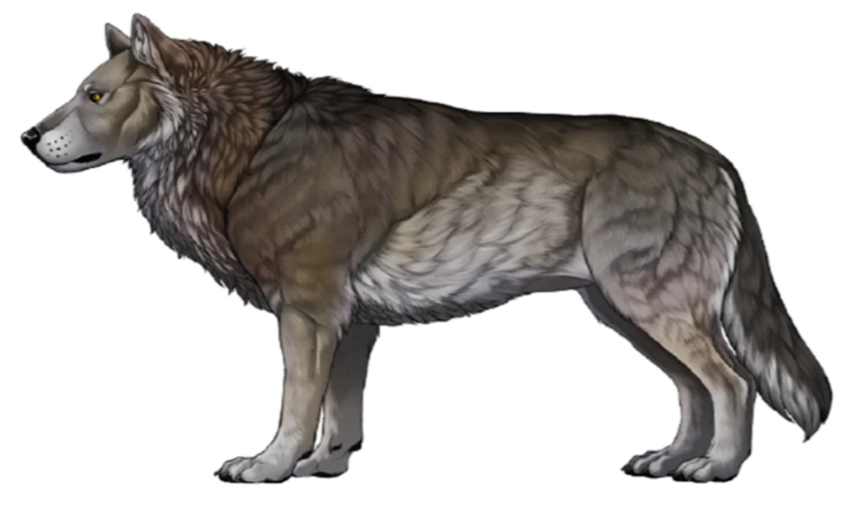 Cave Wolf | NatureRules1 Wiki | Fandom