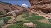 Dinosaur Planet (2003) | NatureRules1 Wiki | Fandom