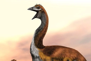 daemonosaurus weight