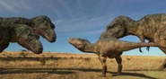 Daspletosaurus | NatureRules1 Wiki | Fandom