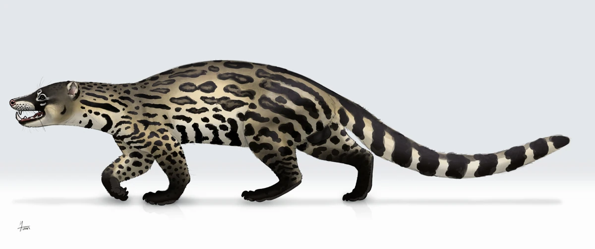 Lesmesodon | NatureRules1 Wiki | Fandom