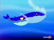 Blue Whale/TV Shows | NatureRules1 Wiki | Fandom