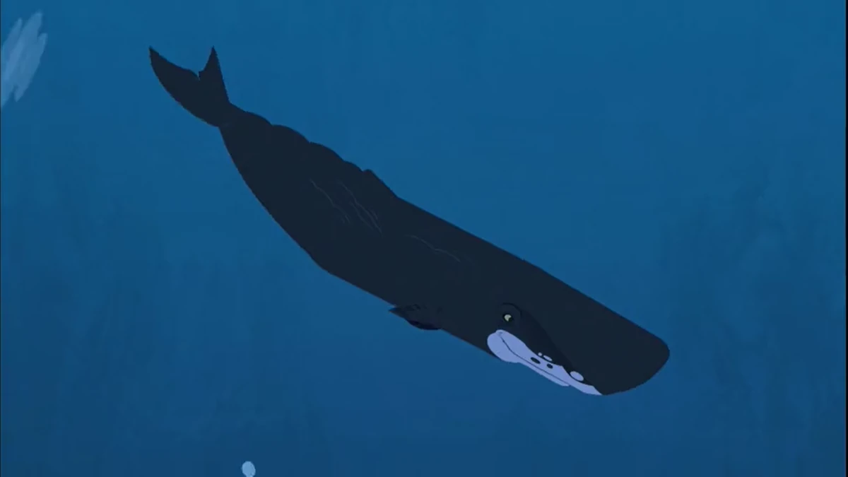 Francine Galko Sea Animals | NatureRules1 Wiki | Fandom