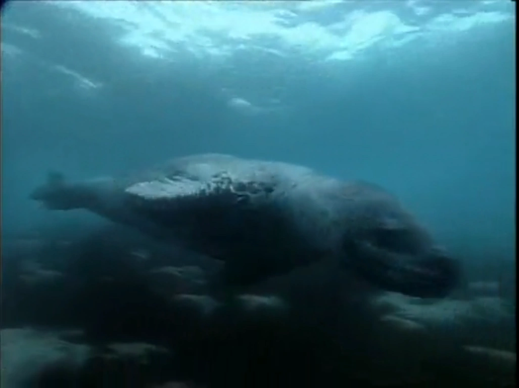 Antarctica (1991) | NatureRules1 Wiki | Fandom