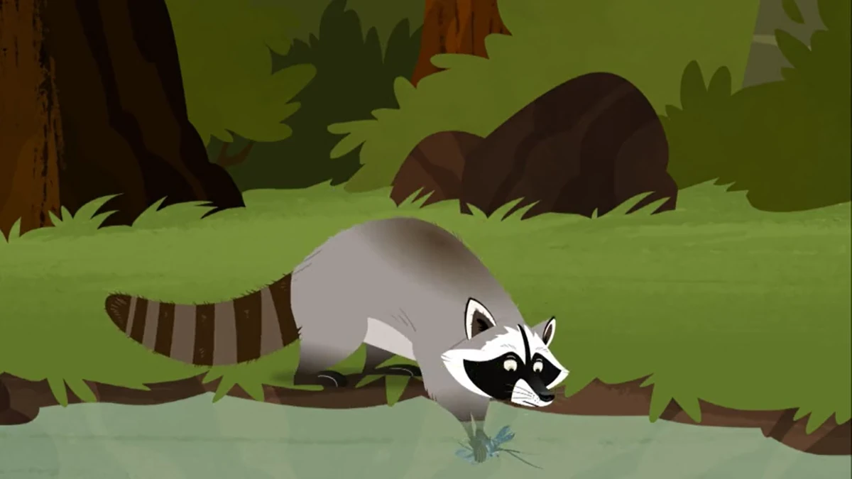 Francine Galko Wetland Animals | NatureRules1 Wiki | Fandom