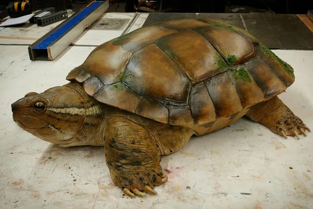 Adocus | NatureRules1 Wiki | Fandom