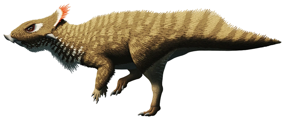 Aquilops | NatureRules1 Wiki | Fandom