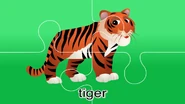 Bengal Tiger | NatureRules1 Wiki | Fandom