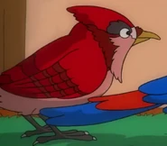 Northern Cardinal | NatureRules1 Wiki | Fandom