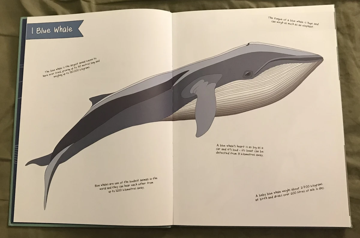 List of Species In The Ultimate Animal Counting Book | NatureRules1 ...