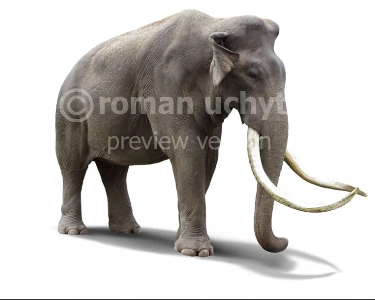 Southern Mammoth | NatureRules1 Wiki | Fandom