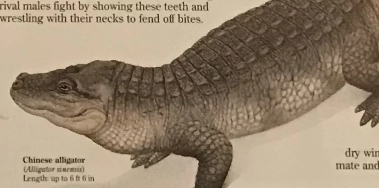 Reptile House (Cincinnati Zoo and Botanical Garden) | NatureRules1 Wiki ...