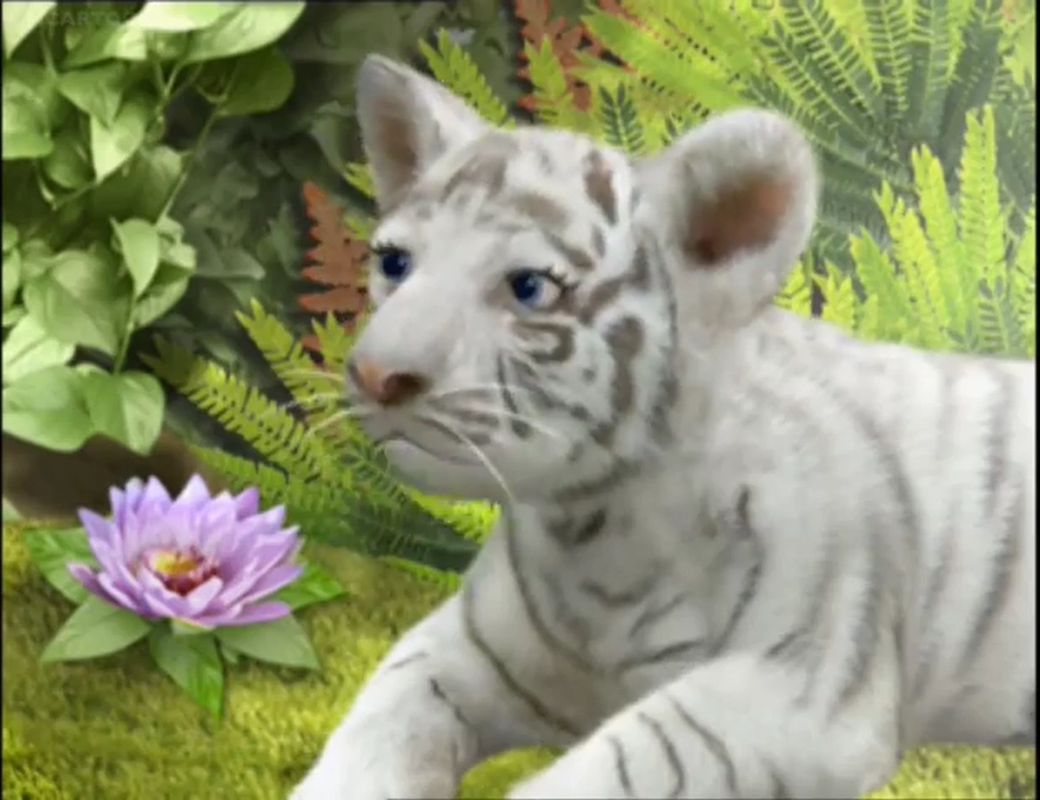 Lost Land of the Tiger | NatureRules1 Wiki | Fandom