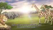 Masai Giraffe | NatureRules1 Wiki | Fandom