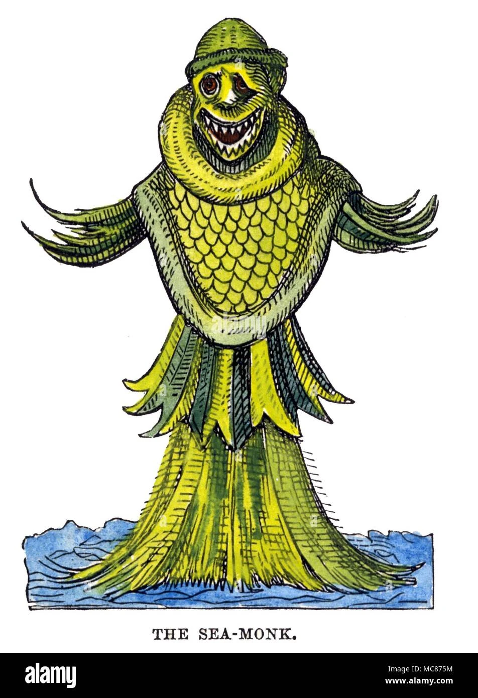 Sea Monk | NatureRules1 Wiki | Fandom