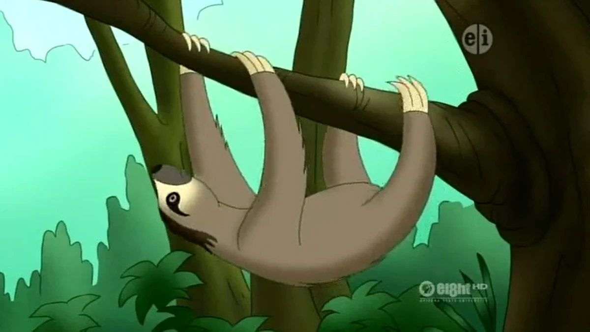Nature Unfolds Rainforest | NatureRules1 Wiki | Fandom