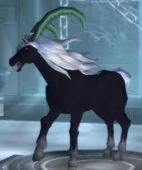 Bicorn | NatureRules1 Wiki | Fandom