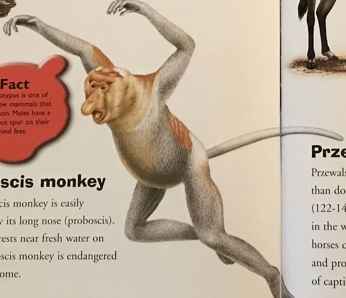 Proboscis Monkey/Books | NatureRules1 Wiki | Fandom