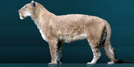 American Lion | NatureRules1 Wiki | Fandom