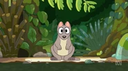 Agile Wallaby | NatureRules1 Wiki | Fandom