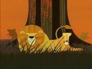 List of Species in Cartoon Network | NatureRules1 Wiki | Fandom