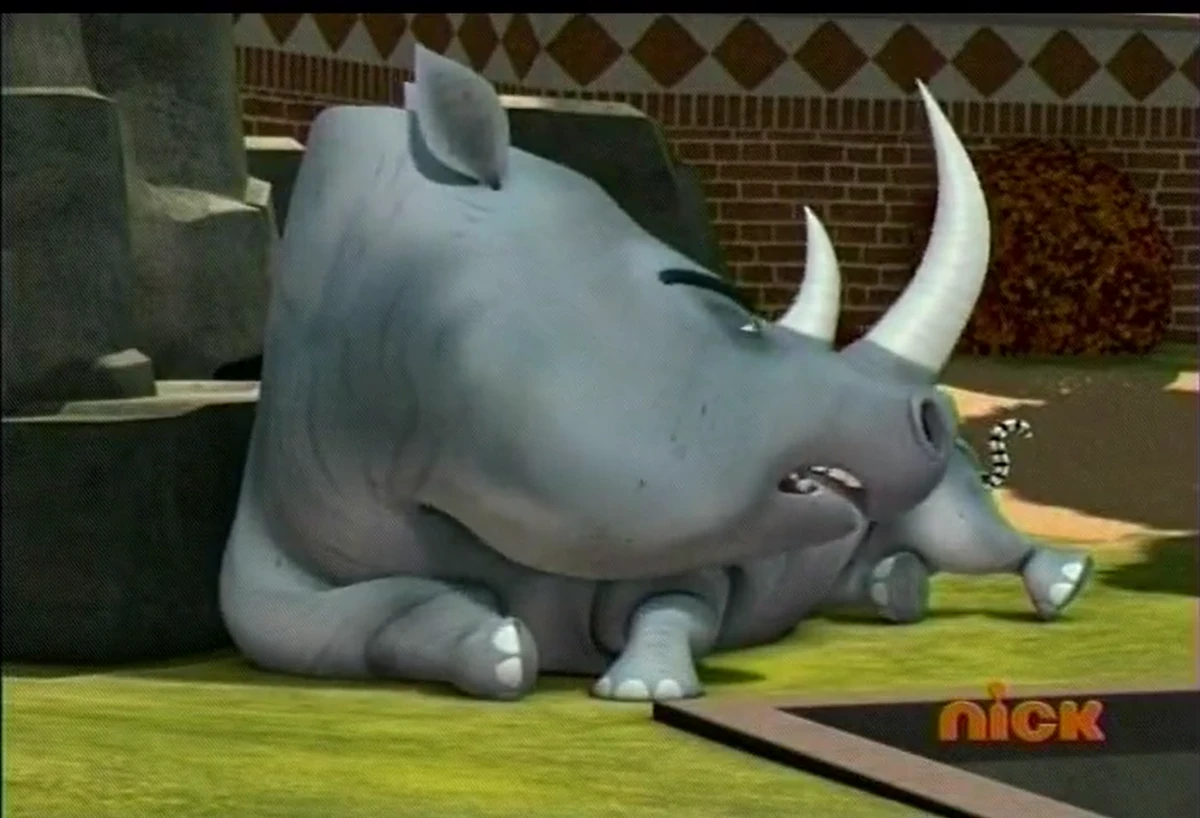 List Of The Penguins Of Madagascar Species | NatureRules1 Wiki | Fandom