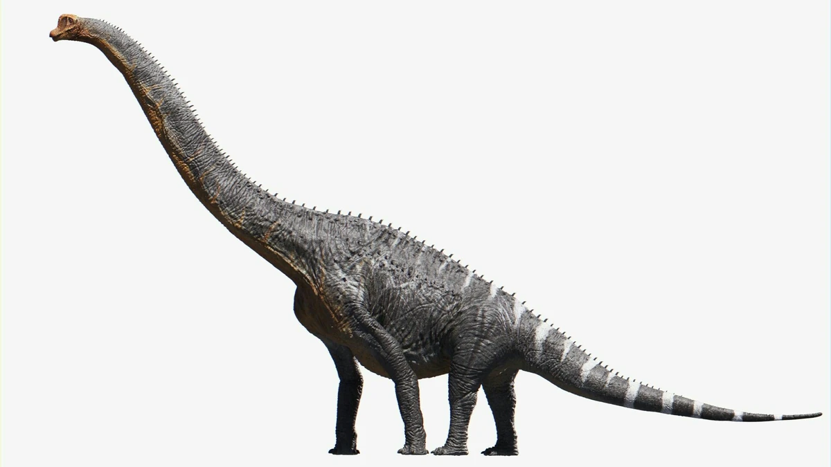 Brachiosaurus | NatureRules1 Wiki | Fandom
