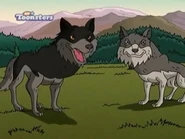 List of Species in Nickelodeon | NatureRules1 Wiki | Fandom