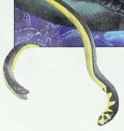 Yellow-Bellied Sea Snake | NatureRules1 Wiki | Fandom